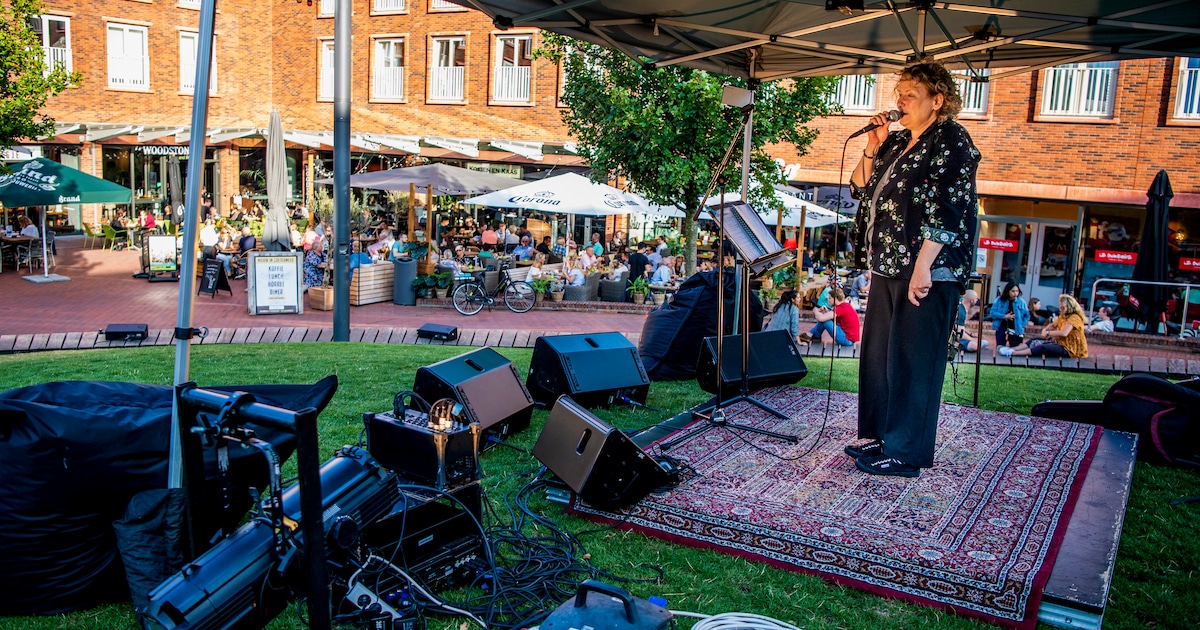 Singer-songwriters zingen publiek toe op Cadenzaplein | Zoetermeer | AD.nl