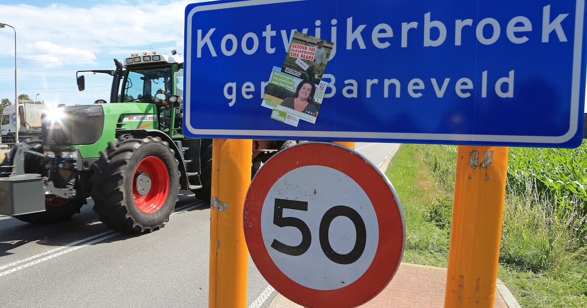 Daan werd ‘op adrenaline’ meegesleept tijdens boerenprotest: ‘Ik had ...