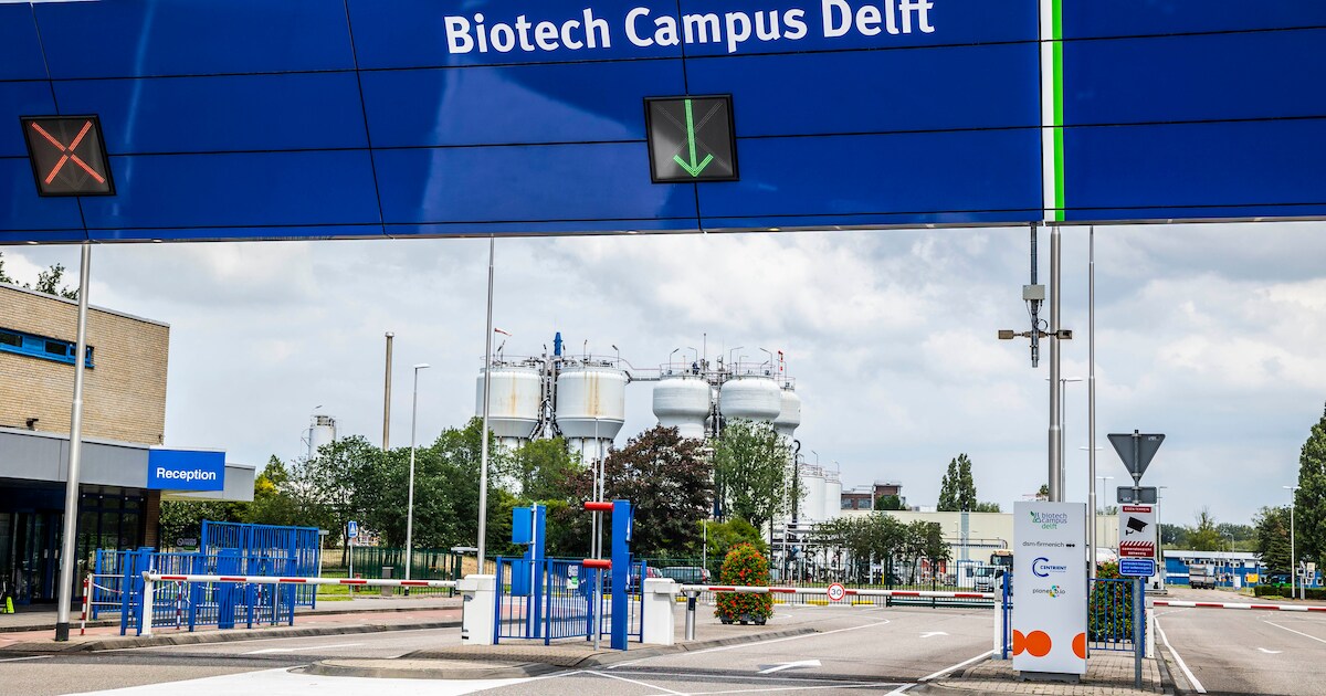 Nog 1,5 jaar werken in gistfabriek DSM Delft die sluit: ‘Daar moet wat ...