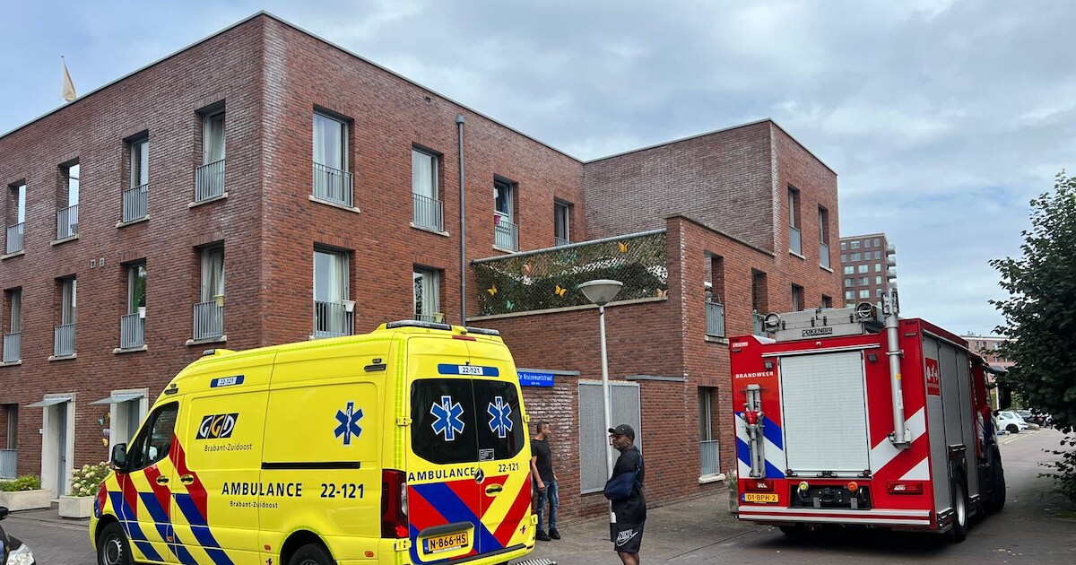 Kind met arm tussen poort in Eindhoven | Regio | AD.nl