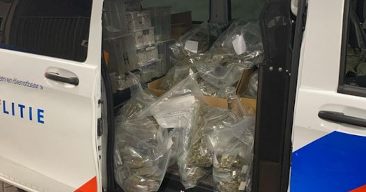 Politie haalt 81 kilo wiet en hash uit leegstaand pand naast coffeeshop ...
