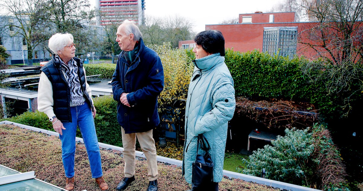 Tuindorpers zien nieuwe hoogbouw niet zitten: ‘Tien verdiepingen is ...
