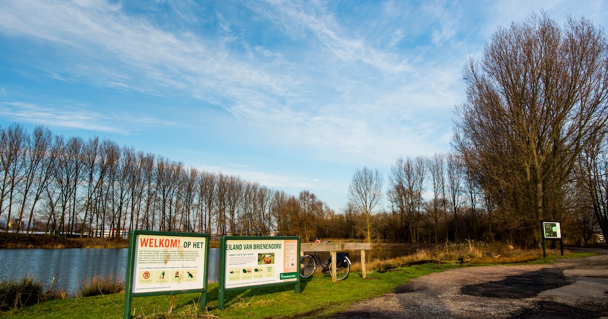 Loop over Eiland Brienenoord ‘met respect voor natuur en dier ...