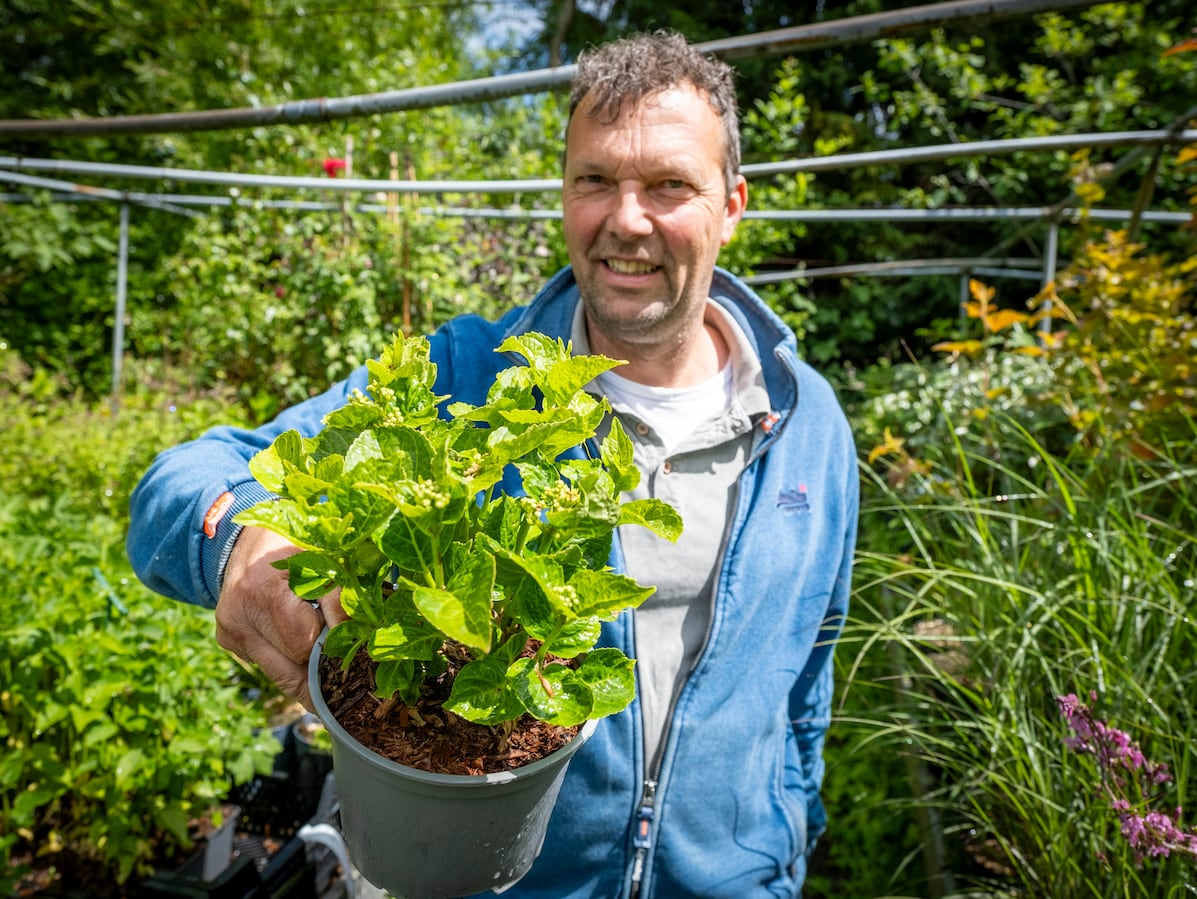 Nederland sproeit erop los (en dat is juist niet wat je moet doen voor ...