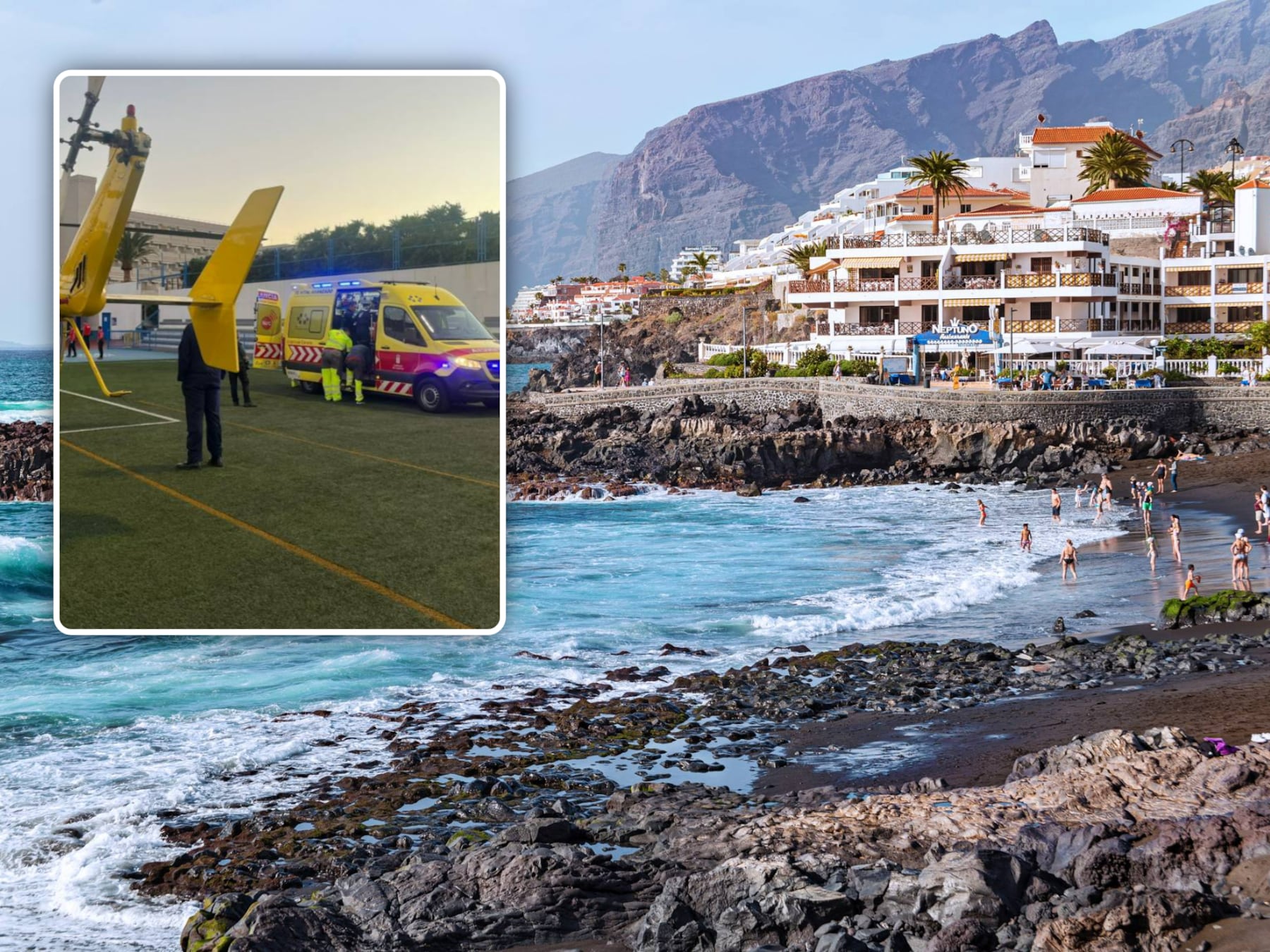 ‘Al die havens zitten vol met ontbossers, Nederland is een echt ...