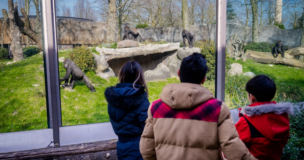 John en Bianca zijn fan van Bokito en rouwen om z'n dood: ‘We zeiden ...