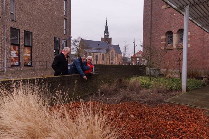 Zevenbergse tegel van Tineke biedt troost tussen alle feestgedruis met ...
