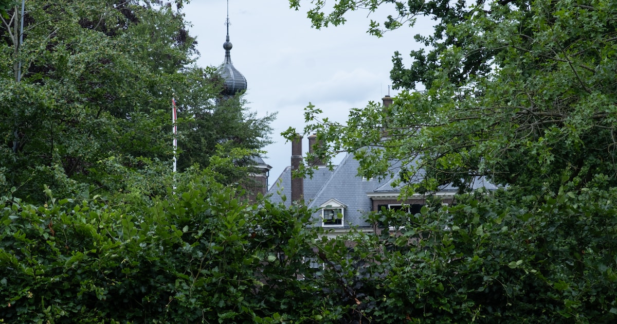 Bezorgdheid om zicht op Huize Hoevelaken: monumentaal pand verdwijnt ...