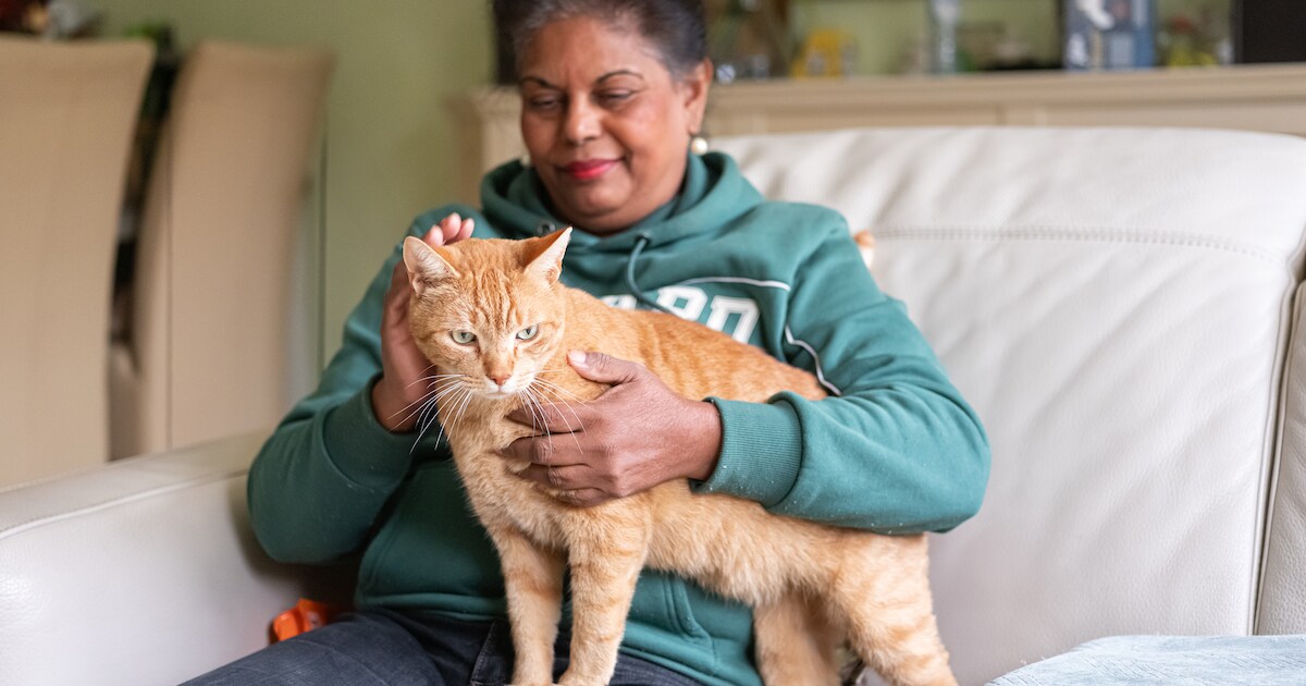 Baasje van vermiste kat Chester is dolgelukkig nu hij na 2,5 jaar ...