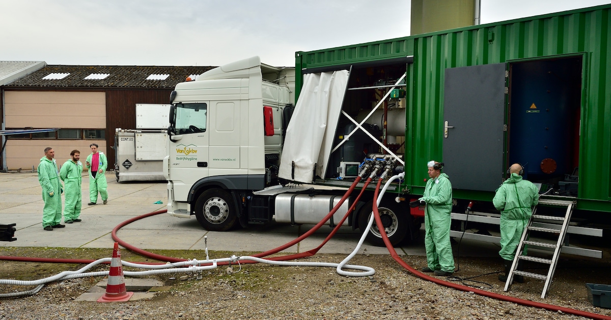 80.000 vleeskuikens geruimd op bedrijf van Hans en René ...