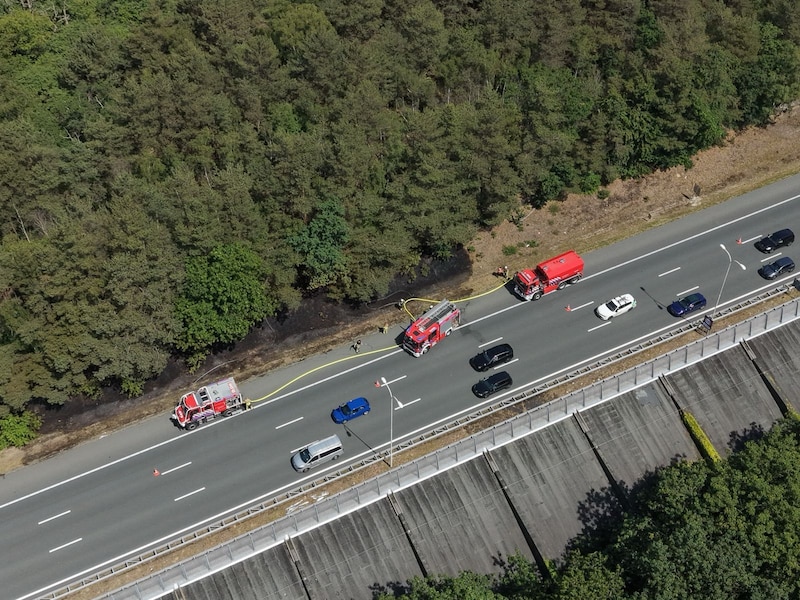 Bermbrand langs de A28 bij Zeist geblust: snelweg vrijgegeven | Regio ...