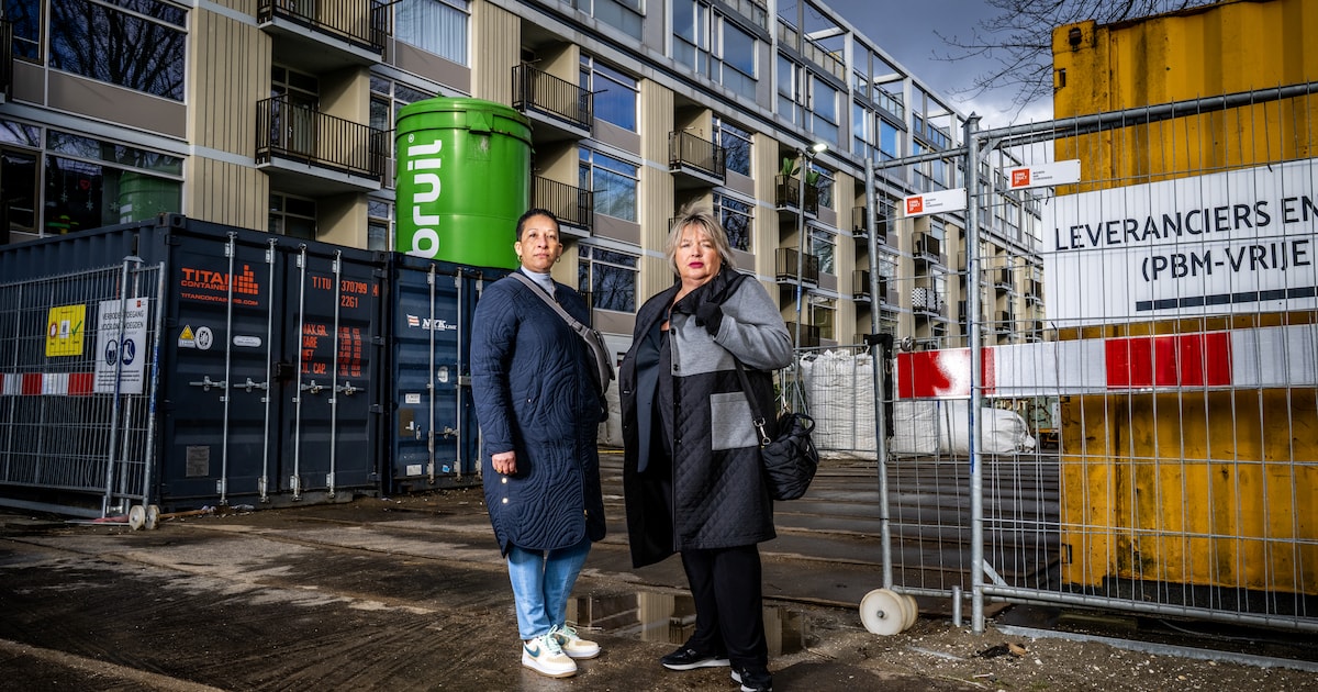Havensteder schrok ‘enorm’ van onveilige optopwoningen in het Lage Land ...
