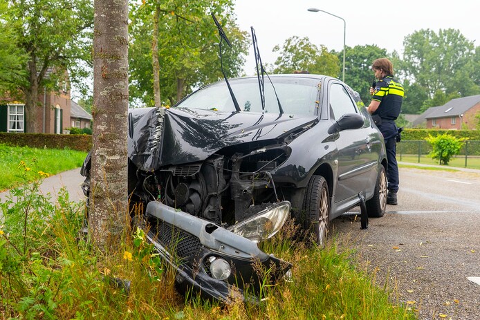Auto botst hard op boom in Reek; vrouw gewond naar het ziekenhuis | Maashorst | AD.nl