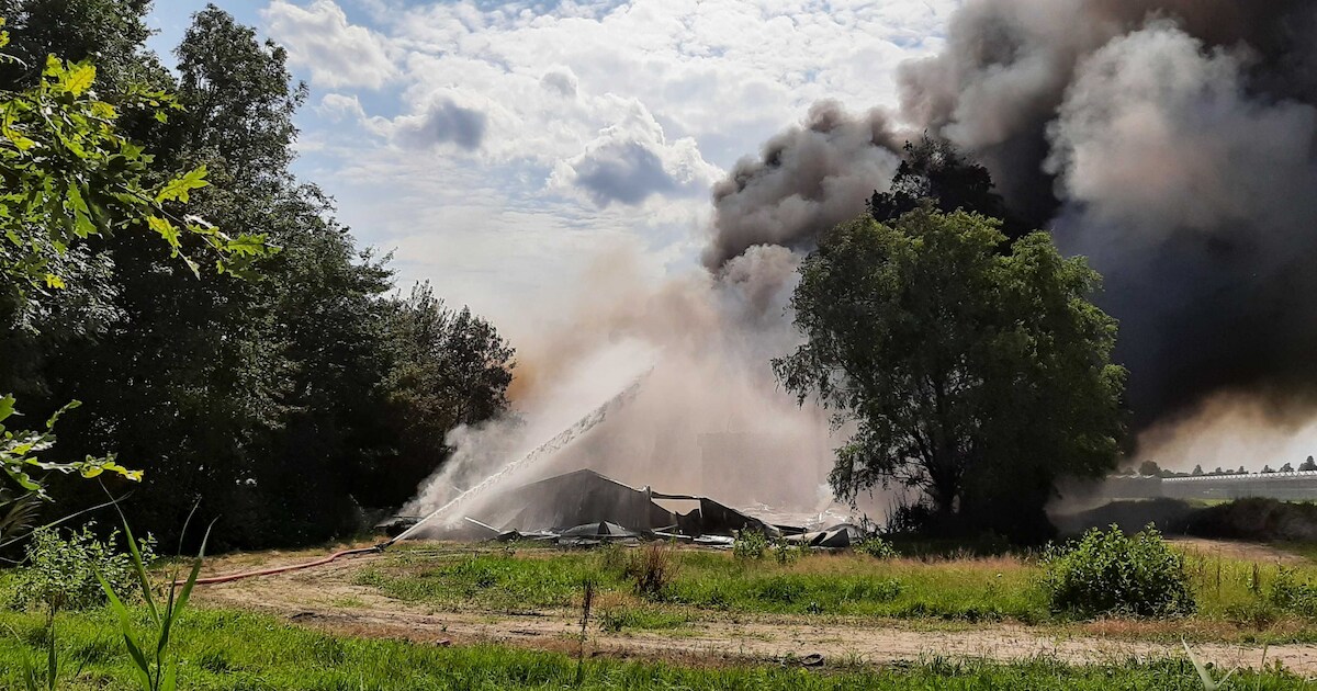 Grote brand legt loodsen bij Ens in de as, brandweer na uren klaar met ...