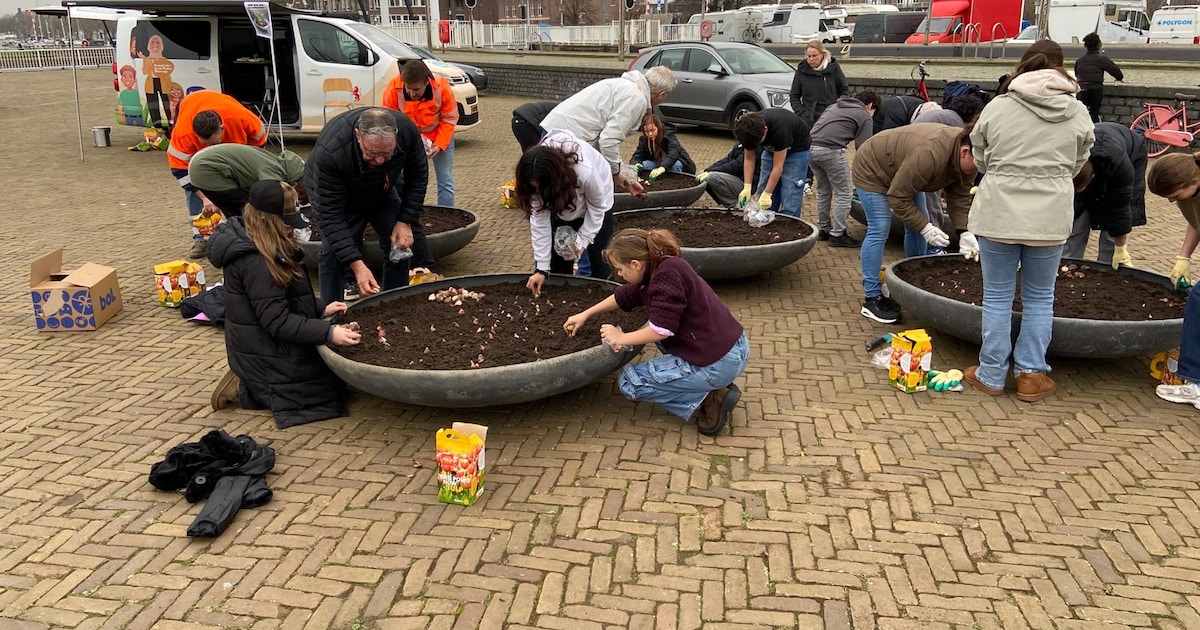 Kinderen planten tulpenbollen voor actie 'End Polio Now' in Vlaardingen ...