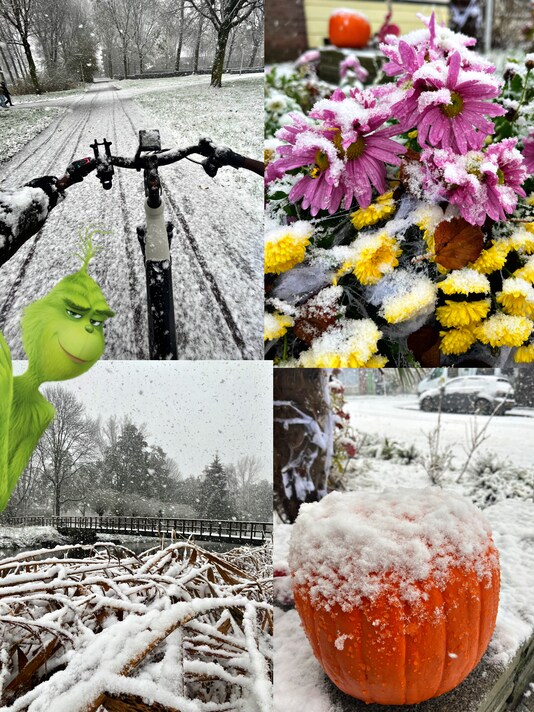 Vanaf 17.00 uur weer code geel vanwege gladheid en winterse buien | Oss | AD.nl