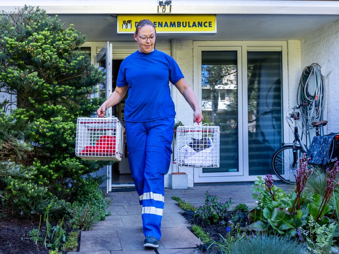Een vuurpijl die ontploft in anus van een kat: Hettie van de ...