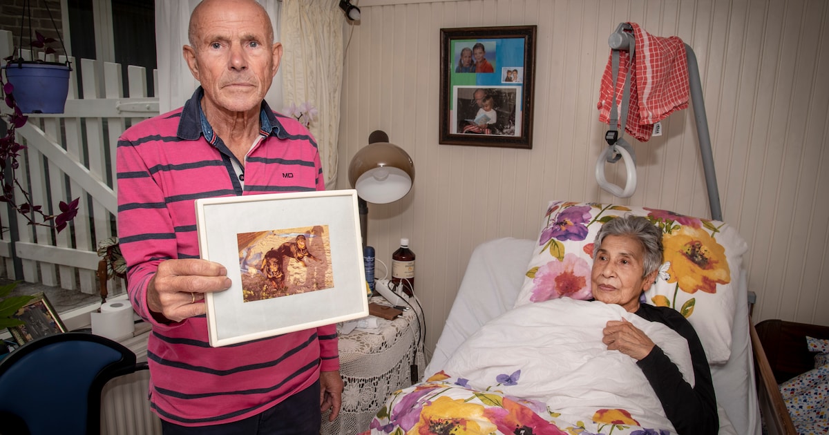 Rottweiler Unique mag weer naar haar baasje: ‘Ik ben door een hel ...