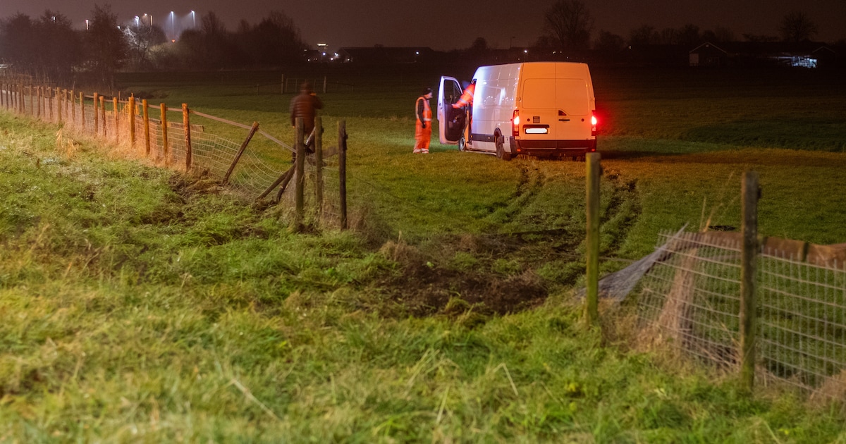 Bestelbusje botst met auto, rijdt door hek en belandt in weiland naast ...