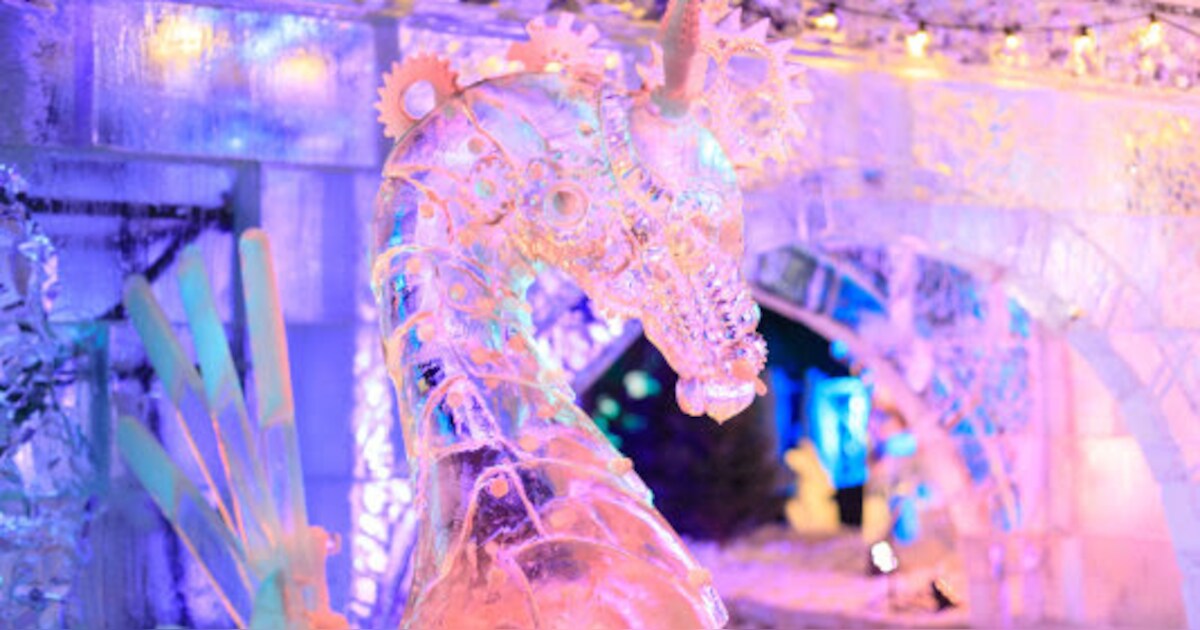 Het wordt ‘koud’ in Scheveningen met winterparadijs van Cool Event ...