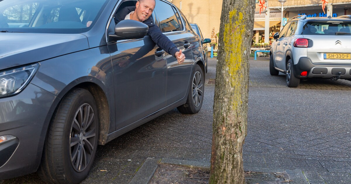 Buurt is blij: boombeugels Zwolle zijn plotsklaps weg, dus geen ...