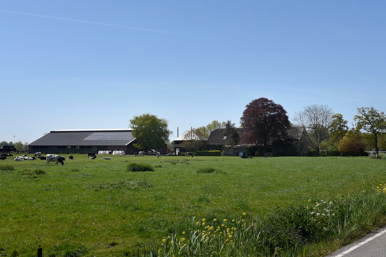 Vergunning voor B&B in hooiberg van Jan terecht geweigerd, zegt rechter ...