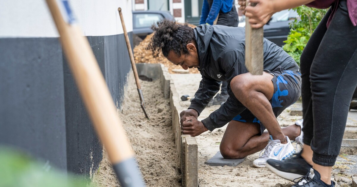 Boekelse Tegeltaxi haalt gratis tuintegels op | Boekel | AD.nl