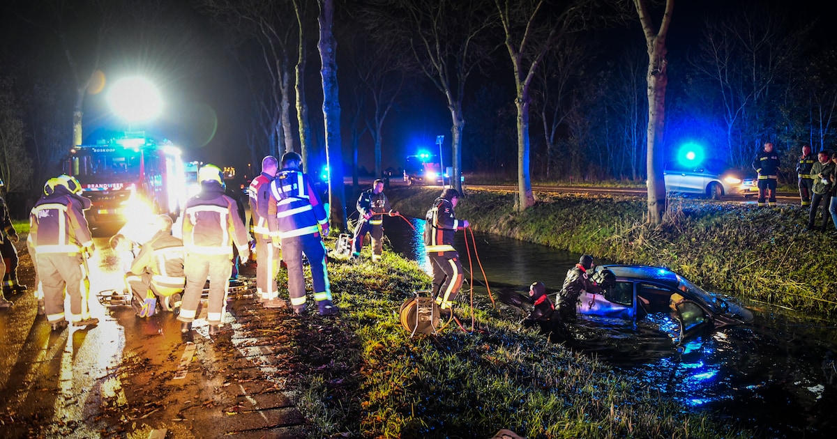 Vrouw uit water gered na botsing met boom | Regio | AD.nl