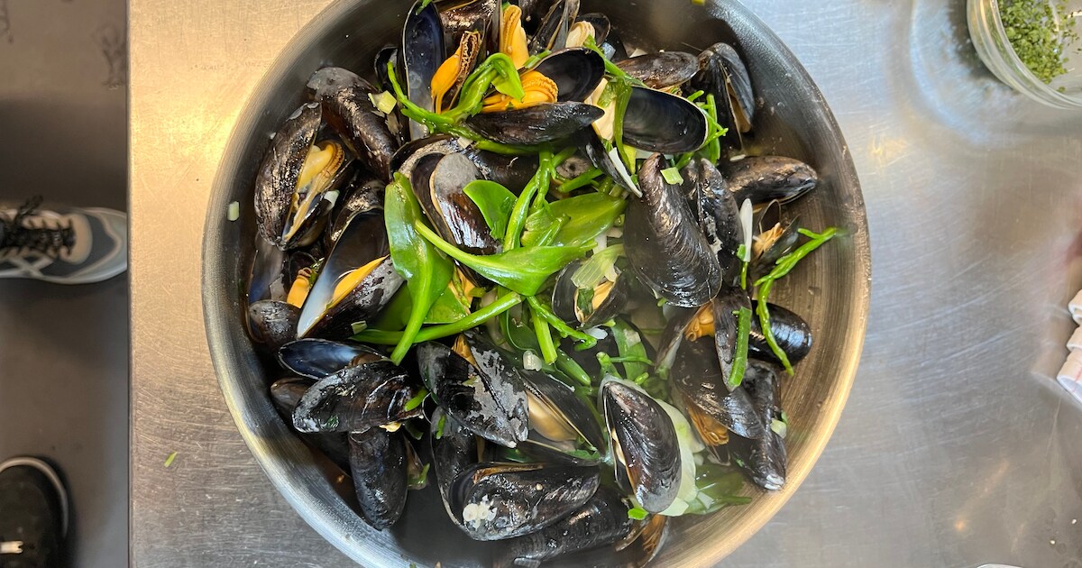 Mosselen bereiden: veel thuiskoks maken deze fouten | Koken & Eten | AD.nl