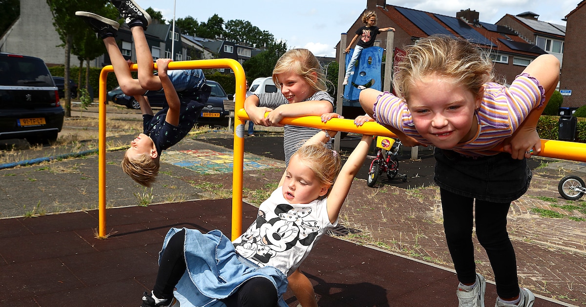 Wijkraad Noord in Leerdam verbolgen over speeltuinplannen: ‘Hier hebben ...