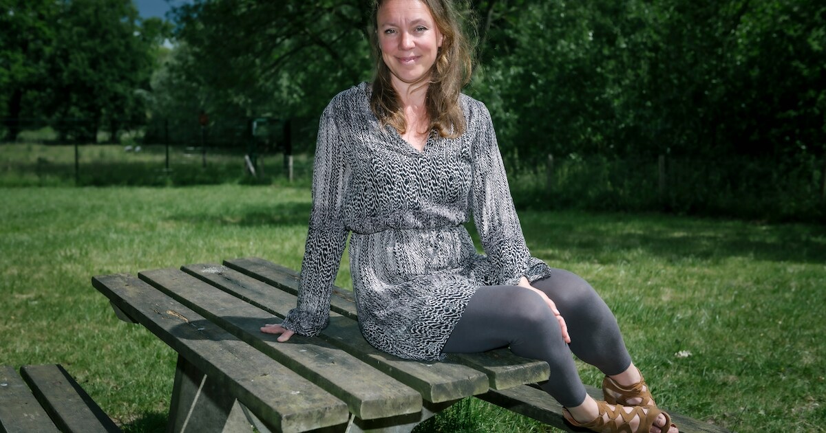 Windmolens in polder Rijnenburg: plan vordert | Utrecht | AD.nl