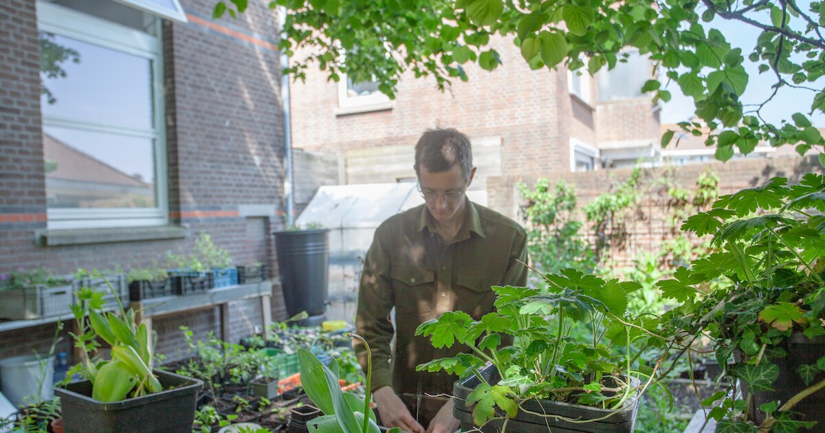Jorick stapte over van kunst naar plantjes kweken: ‘Is ook een creatief ...