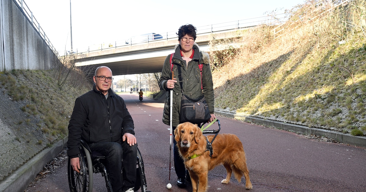 Nieuwe bushalte door hoge ligging niet bereikbaar voor reizigers met ...