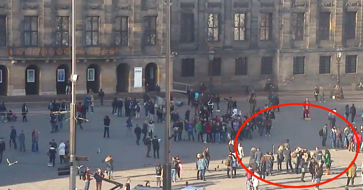 Eerste deelnemer Wie is de Mol? heeft al een rood scherm | TV & Radio ...