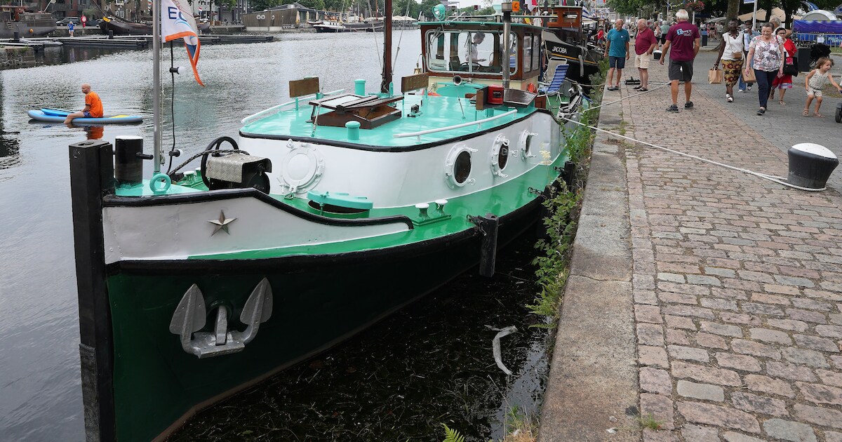 Oude sleepboten in ‘schoonste water van Nederland’ | Tilburg | AD.nl