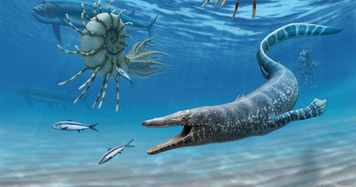 Amerikaanse paleontoloog promoveert aan de Universiteit Utrecht met ...