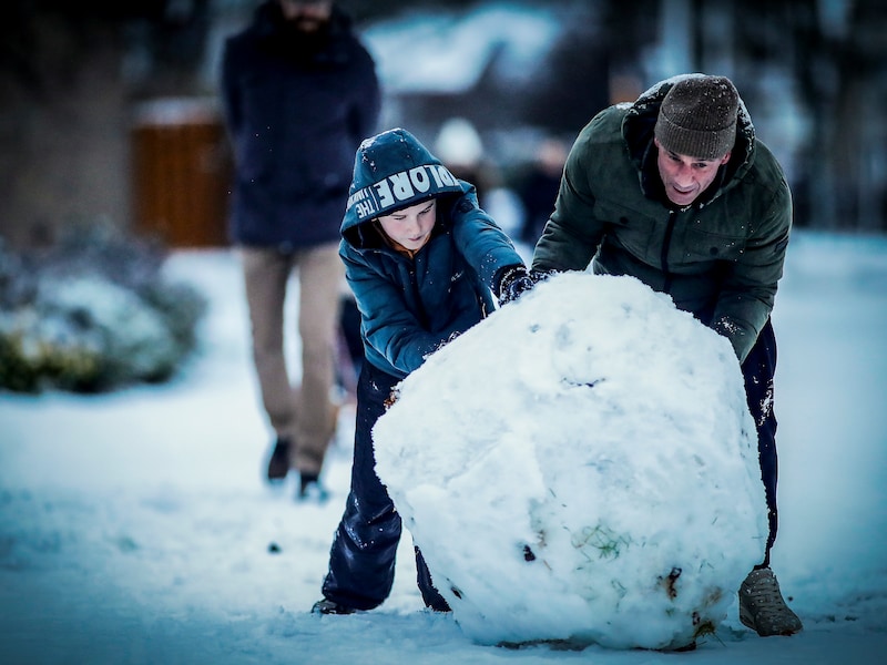 De Oude Zustertuin in Bodegraven zoekt nieuwe vrijwilligers ...