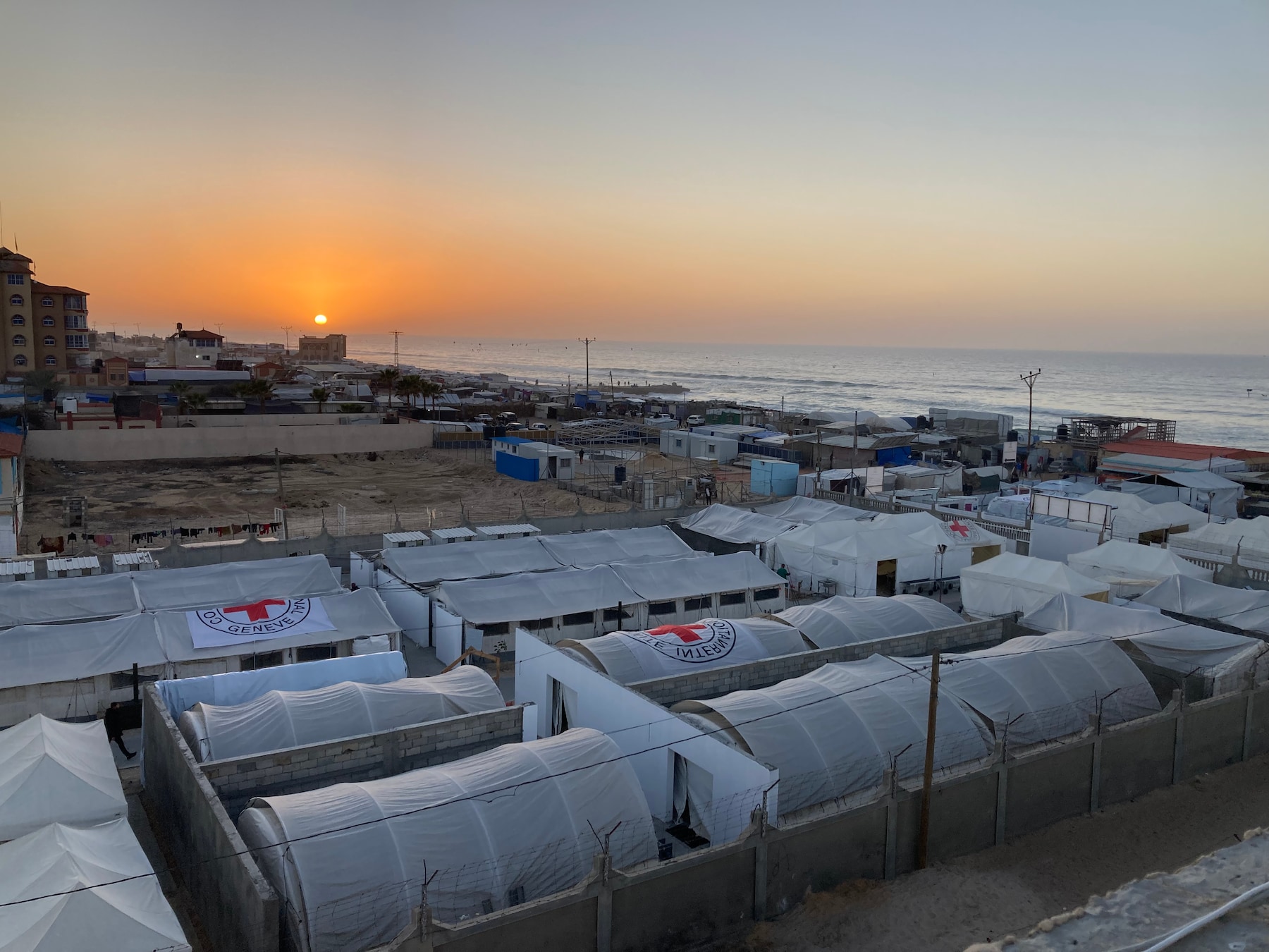 TERUGLEZEN | Trump stuurt gezant Witkoff en schoonzoon dit weekend naar ...