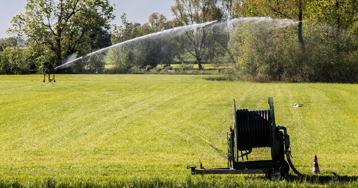Oproep waterschap: gebruik geen grondwater voor het besproeien van gras ...