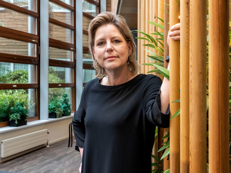 Non-binair Kamerlid Ines Kostic moest muren zelf breken: ‘Zullen we er ...