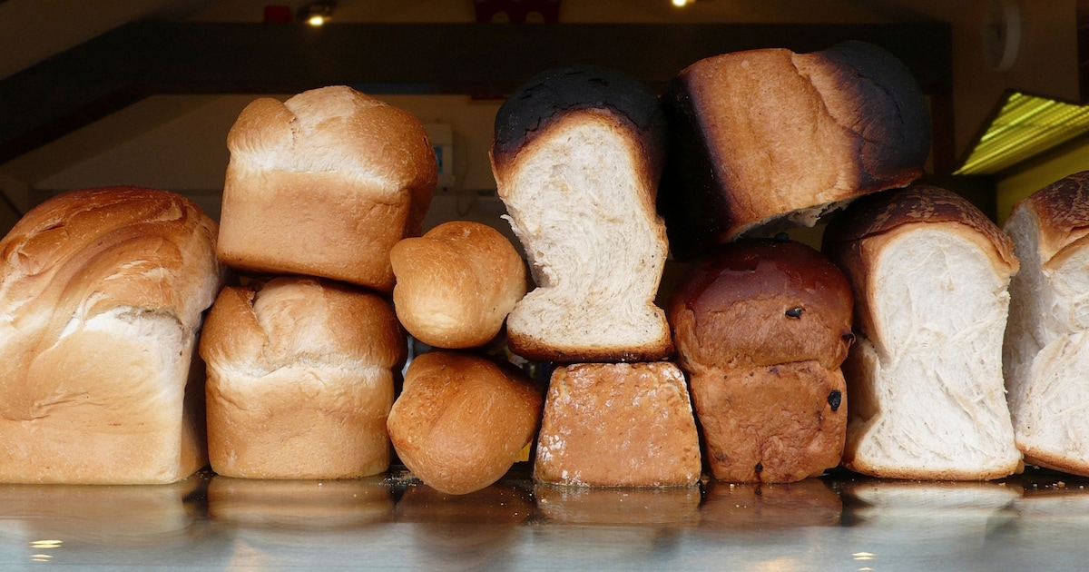 Zelf brood bakken bij Bakhuis Magbaz in Tilburg | Regio | AD.nl