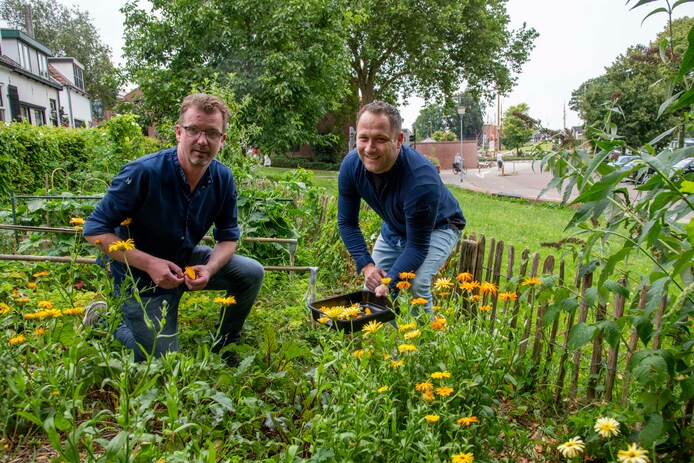 Het nieuws uit Harderwijk van Paul en Ingrid | Bakker Bart feestelijk ...