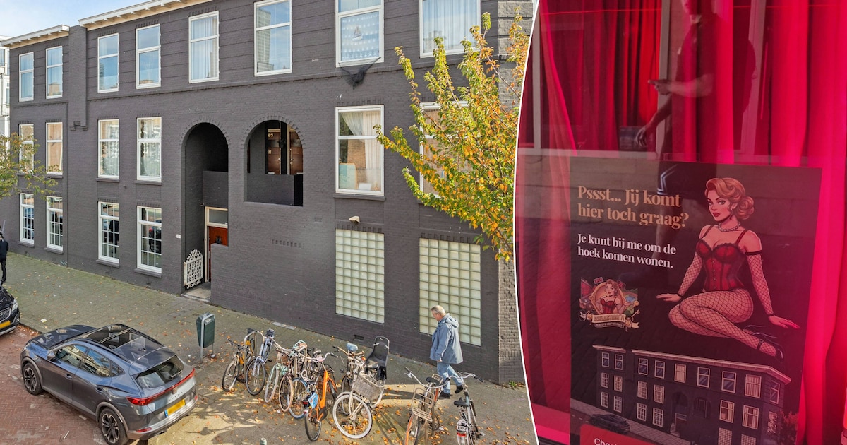 Luxe huis met 400m2 tuin en zwembad staat al jaar te koop: ‘Vroeger ...