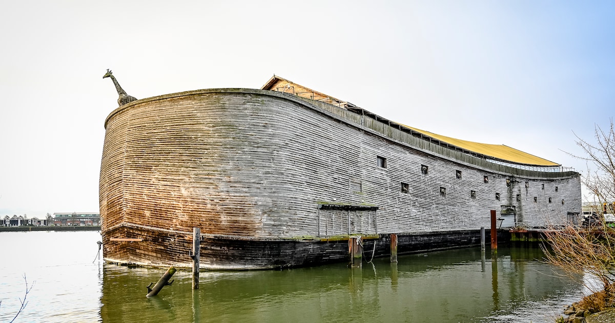 Nieuwe ‘verlosser’ dient zich aan: ondernemer start miljoenenactie om ...