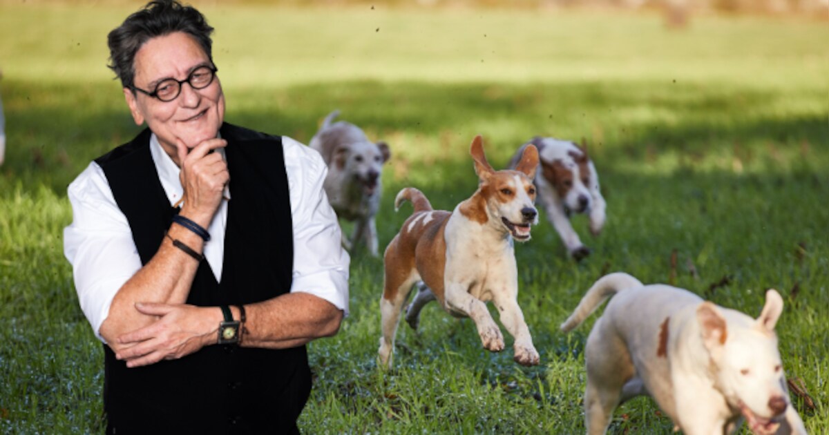 Ik pleit voor een uitrenveld bij Stadswerven | Dordrecht | AD.nl