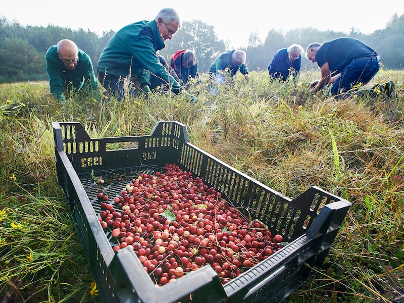 205 miljoen bonus voor topman na bedrijfsovername, kritiek zwelt aan ...