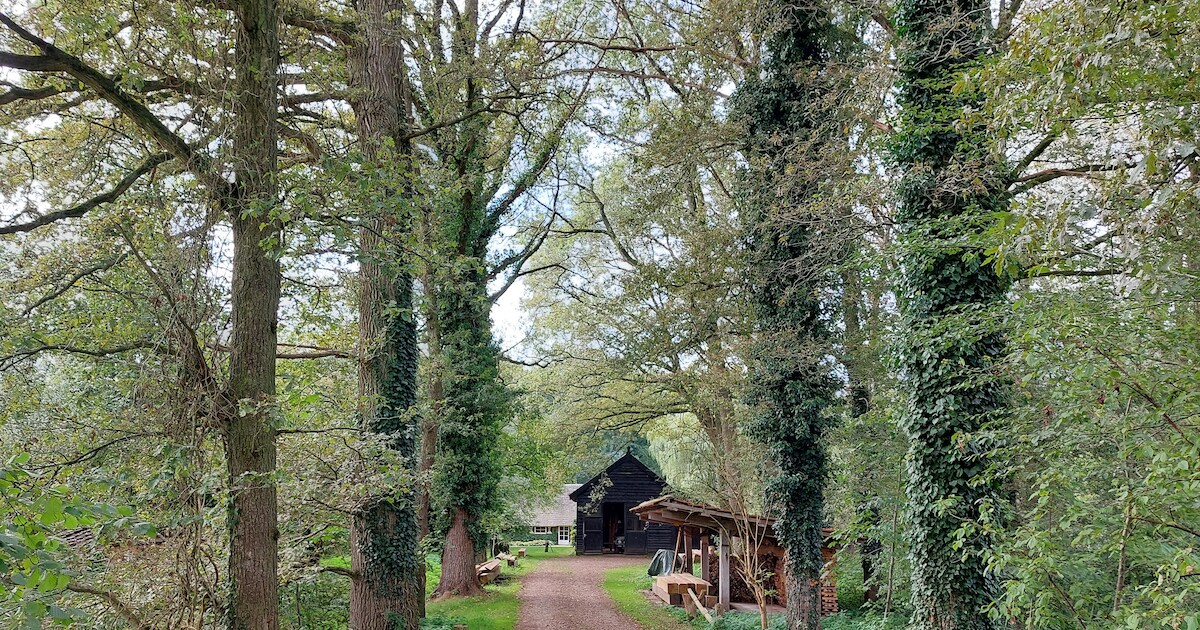 Adellijke heibel in de bossen van Ulvenhout: nazaten baron Prisse ...