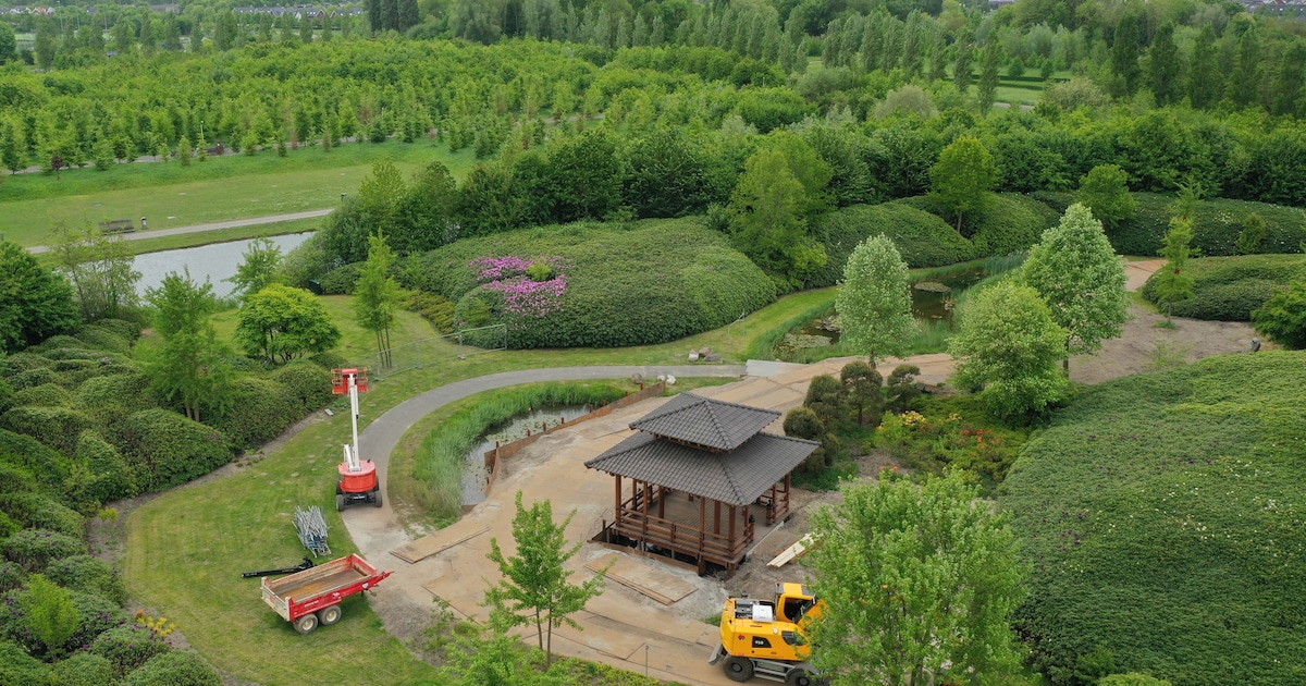 Japanse Tuin in Máximapark wordt nog nóg Japanser met deze nieuwe eyecatcher: ‘Een verrijking ...