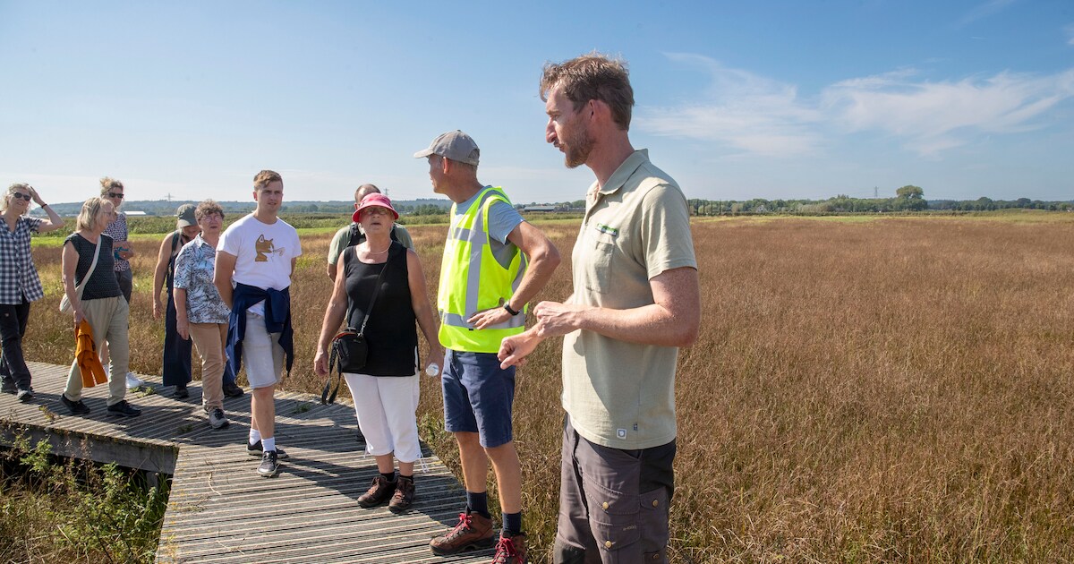 Een nieuw natuurgebied om heel gelukkig van te worden - ‘Horen jullie ...