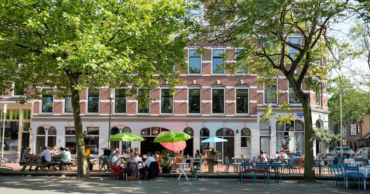 Met dit grootse plan willen horeca-ondernemers op het Deliplein hun ...